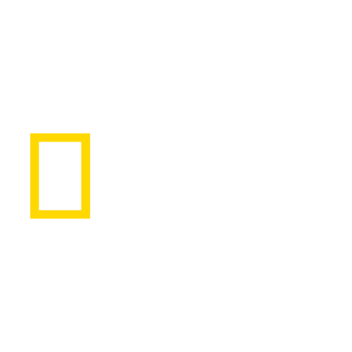 National Geographic HD - online na żywo. CDA TV