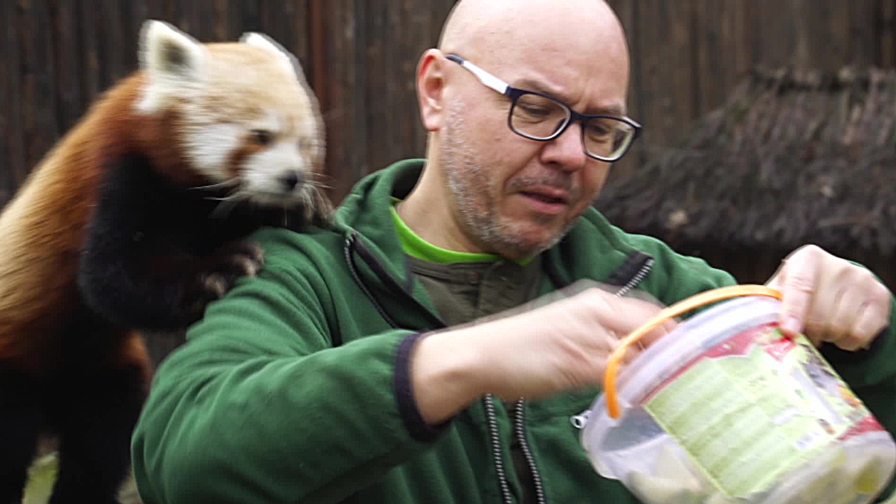 Spółka ZOO S01E03: Drapieżniki online - CDA