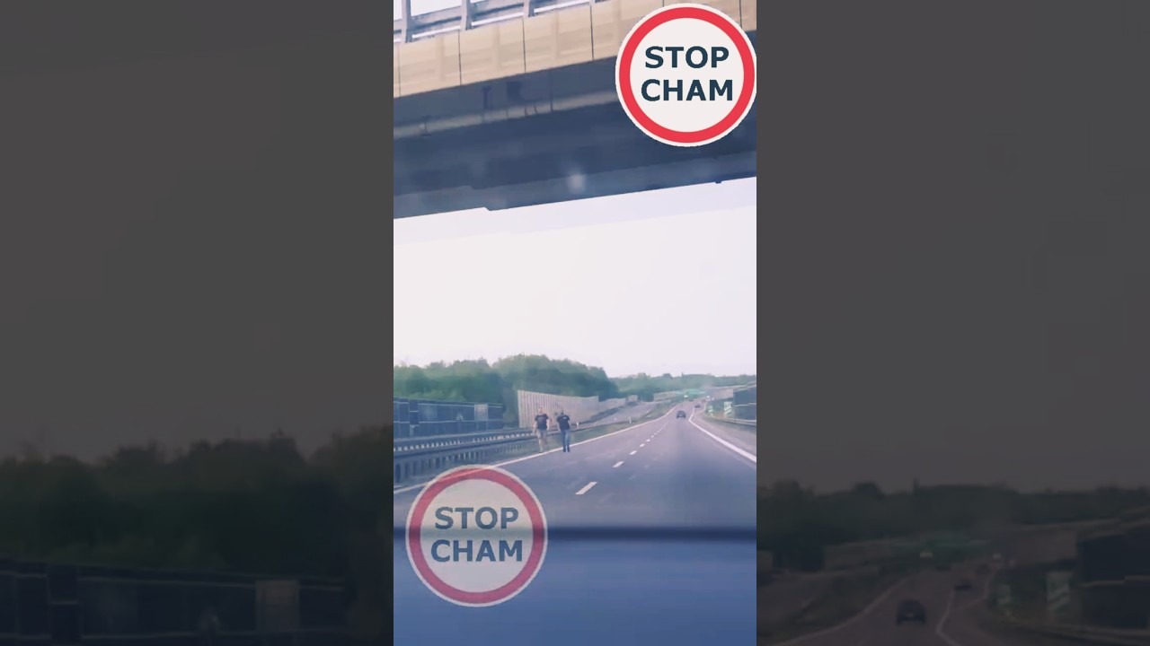 Piesi pod prąd na drodze ekspresowej S8 - CDA