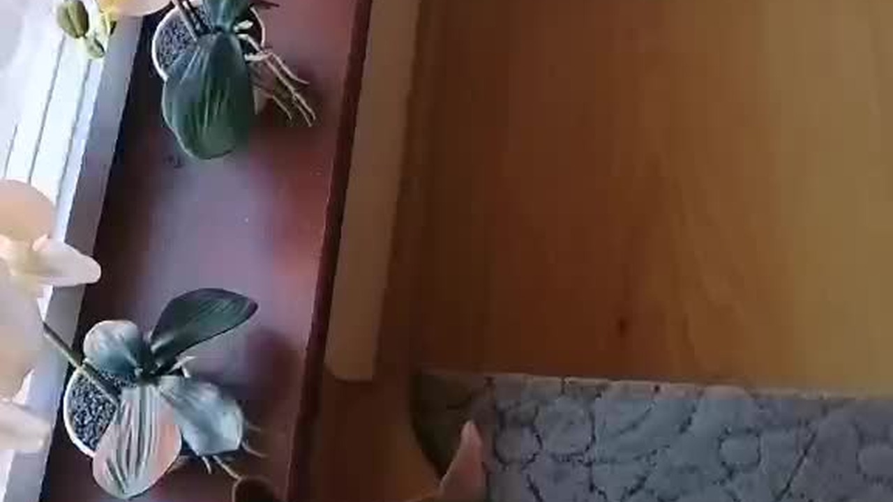 1a07d699-c41b-4f7f-be5c-aedee48edf7b - CDA